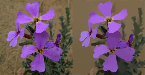 Github Nrupatungal0 Smoothing Implementation Of Algorithm In The