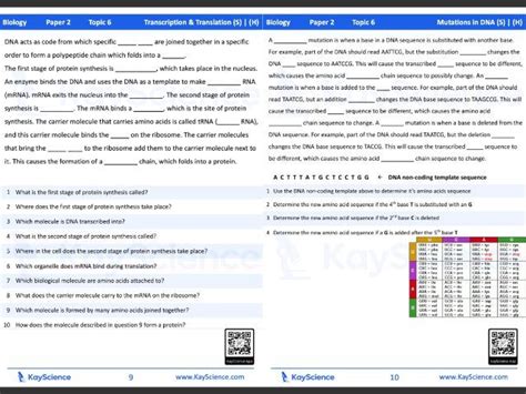 B6 Inheritance Variation And Evolution Gcse Biology Kayscience
