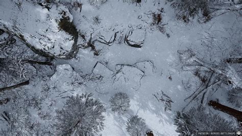 Beautiful Snowy Forest Animated Battlemap 32x18 120px Per Square