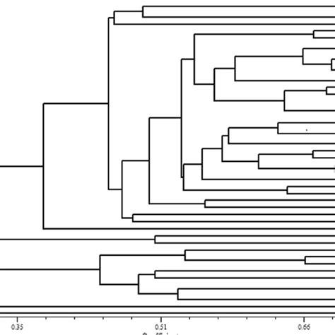 Clustering Of Genotype Based On The Morphological Diversity Download Scientific Diagram