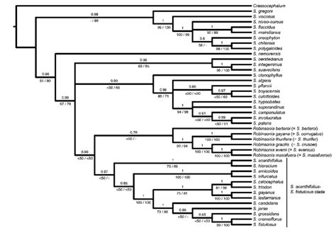 Bayesian Consensus Tree From A Combined Plastid Its Ets Data Set