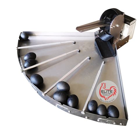Egg Grading And Sorting Machine Elite 750 Egg Grader Grade 750 Egg
