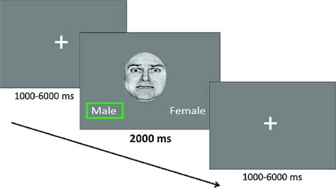 implicit emotion processing task the happy fearful and neutral faces