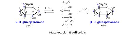 Anomeric Forms Of Glucose Chemistry Libretexts