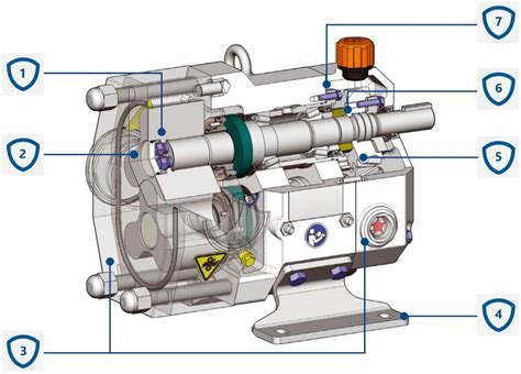 Lobe Pump Diagram Image004