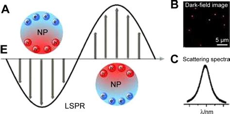 A Schematic Description Of Localized Surface Plasmon Resonance In