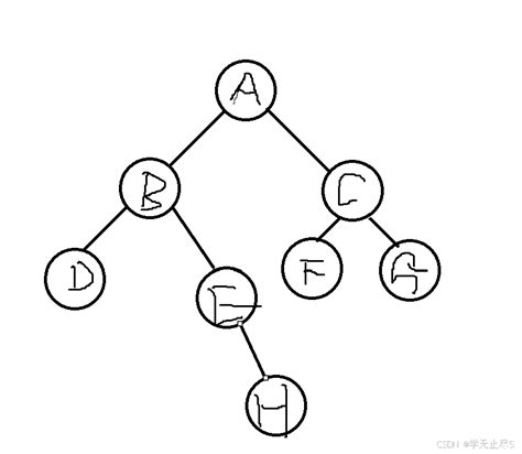【java 数据结构】java 二叉树：代码世界里的神奇树形魔法先序遍历和中序遍历相等的非叶子结点度为一 Csdn博客