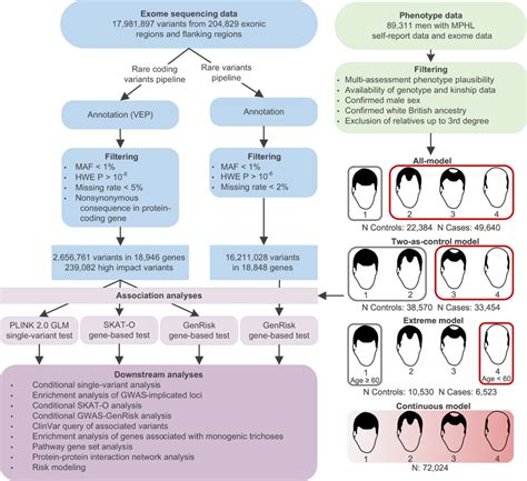 Overview Of The Analysis Workflow Exome And Phenotype Data Obtained Download Scientific Diagram