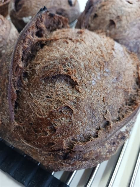 Proofd Breads And Bakery Elmsdale Ns