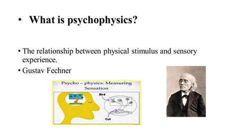 Psychophysics Ppt