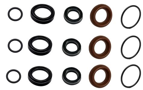 Ar 2189 Annovi Reverberi Replacemnt Seal Kit For Rsv Series Pumps