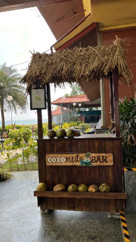 Summer Vibe Coconut Stand Ideas Coconut Wall Coco Stand