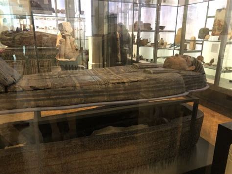 Mummies Meteorites And Mammals What Do Manchester Museums