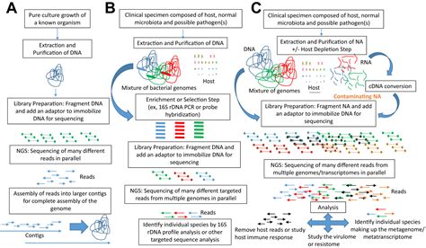 Next Generation Sequencing In Clinical Microbiology Clinics In
