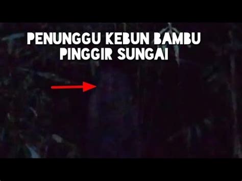 Ketemu Penunggu Kebun Bambu || Live Misteri - YouTube
