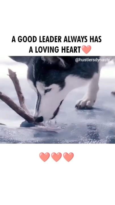 varsha verma on linkedin inspirationalleader team leader mentorship motivation support…