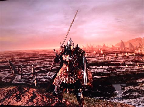 Knight King Sayanor [ds2] Wearing Faraam Helm Syans Armor Any Metal