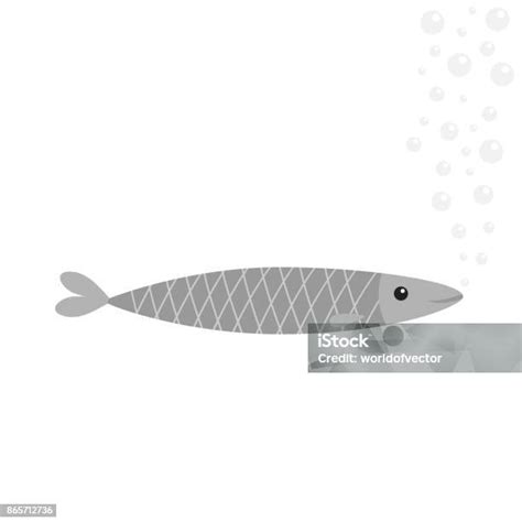 정어리 회색 물고기 아이콘입니다 Iwashi입니다 사르디 나 Pilchardus입니다 귀여운 만화 캐릭터입니다 멸 치 정어리입니다 거품을 물 평면 디자인입니다 흰색