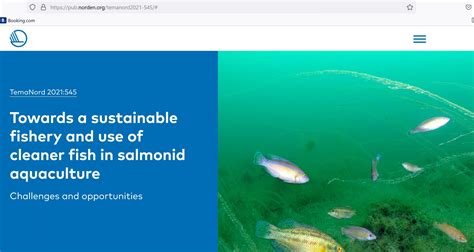 Cleaner Fish 6 Species Taken From The Wild For Salmon Farming Because