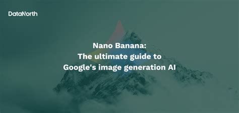 Vectorization In Ai What Is It And Which To Use Datanorth