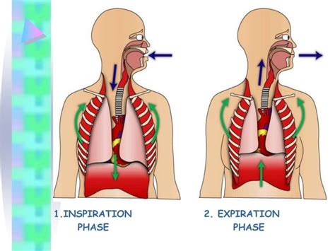 Breathing Patterns