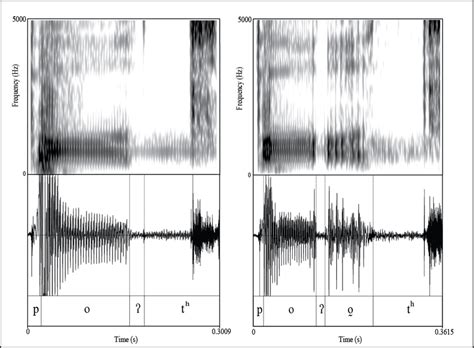 Waveforms And Spectrograms Of Two Different Realizations Of Poʔt Download Scientific Diagram