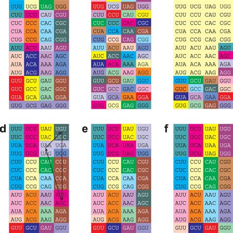 Various Structures Of Genetic Codes Encoding 21 Items And Showing