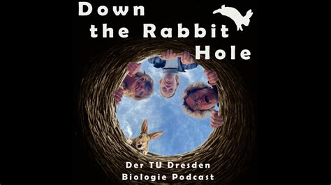 Die Bienen Und Die Blumen Die Evolution Von Sex Teil 1 Youtube