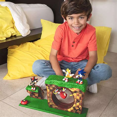 Sonic The Hedgehog Green Hills Zone Exclusive Playset With Sonic