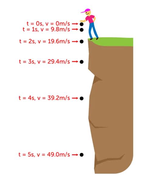 Physics Acceleration For Free Fall