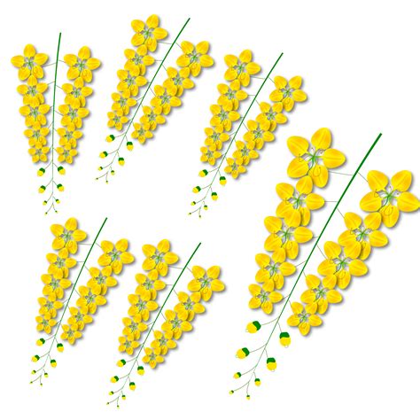 Cassia Fistula Flower National Flower Of Thailand 17374836 Png