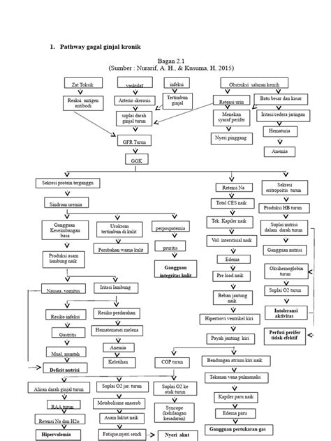 Pathway Gagal Ginjal Kronik Pdf