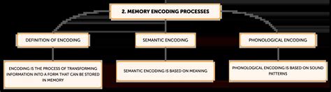 Alan Baddeleys Contributions To Understanding Human Memory Algor Cards