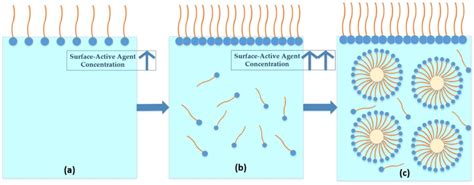 Surfactant Micelle Formation In Water Modified From 44 A Download Scientific Diagram