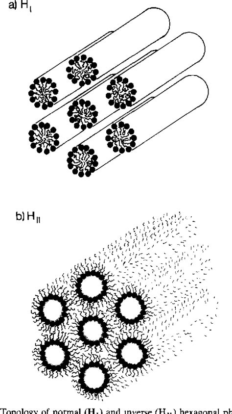 Figure 14 From Structure Of The Inverted Hexagonal Hii Phase And Non