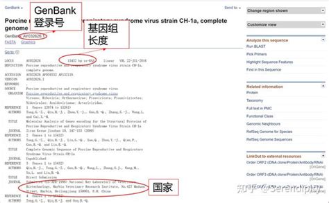 如何根据genbank登录号在ncbi下载基因组序列 知乎