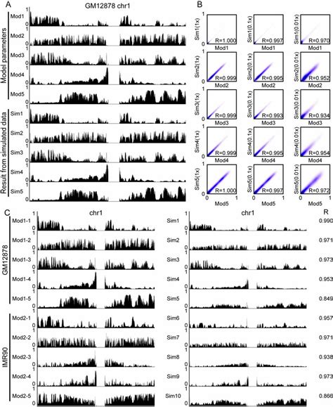 Simulation Test Using Gm12878 Cell And Imr90 Cell Hi C Datasets A Download Scientific Diagram