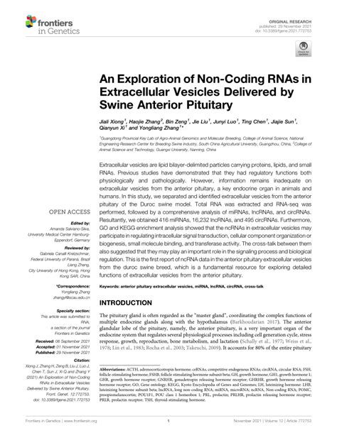 Pdf An Exploration Of Non Coding Rnas In Extracellular Vesicles
