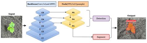 Yolov8n Seg Simple Architecture Diagram Download Scientific Diagram
