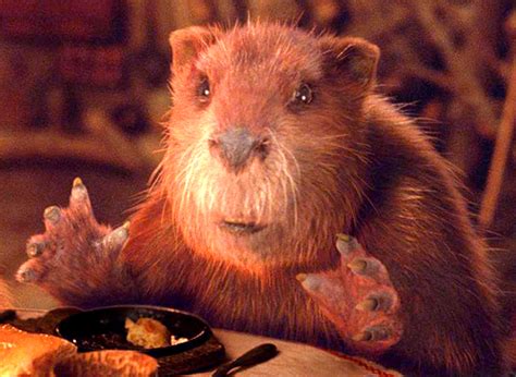 Narnia Meeting Mr Beaver