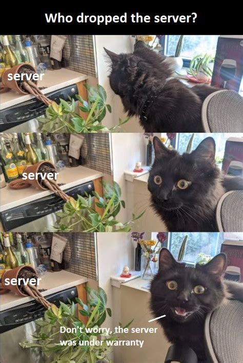 Classics Scrolller Classics Scrolller