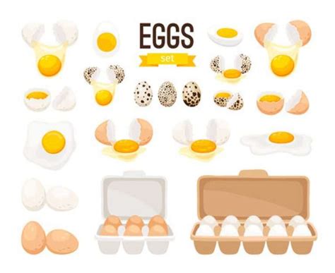 Potassium In Eggs 5 Important Benefits