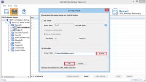 How To Restore SQL Server With RECOVERY NORECOVERY Option