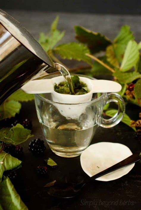 Blackberry Tea Recipe 4 Ways To Make Simplybeyondherbs