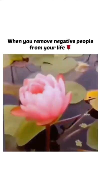 Shivpujan Kumar On Linkedin This Is A Great