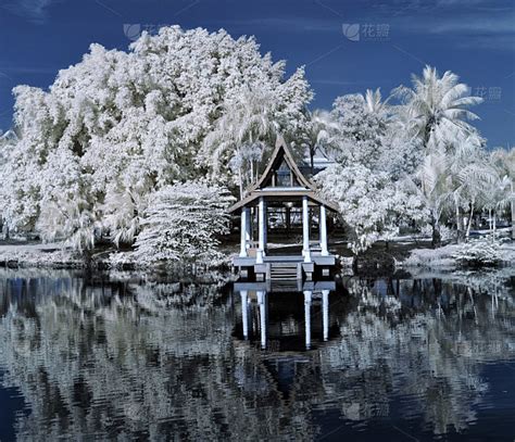 公园户外凉亭，近红外拍摄