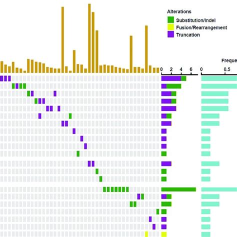 Profiling Of Germline Mutations In 44 Patients With Gastric Cancer All
