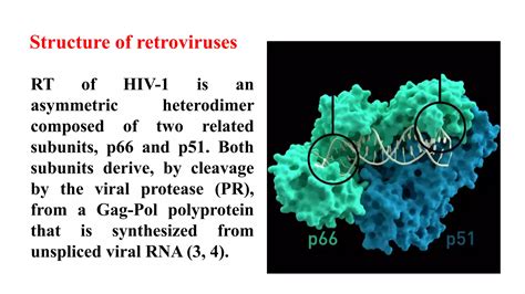 Reverse Transcriptase New Projectpptx Reverse Transcriptase New Projectpptx