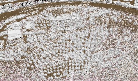 Detail View Of The Ground Classification Result Download Scientific