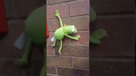 Spider Kermit Youtube